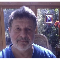 Steve Torrance - Independent Researcher