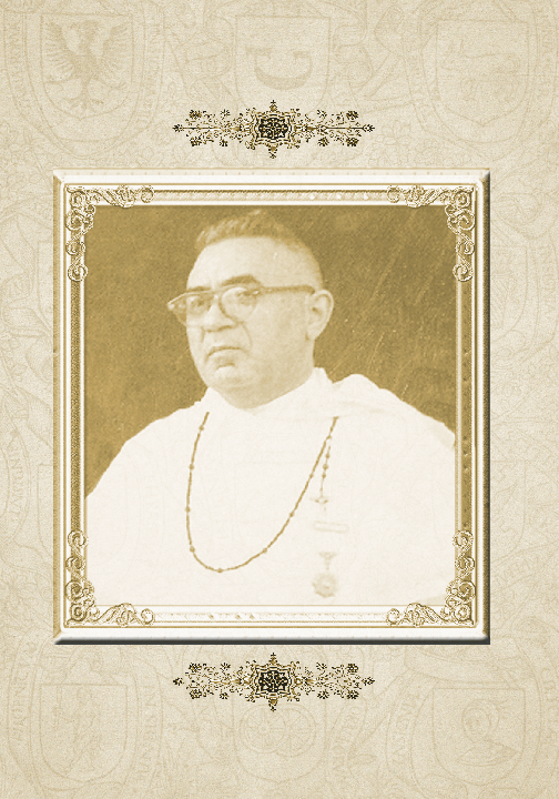 (PDF) Angel de Blas, O.P. and the Development of Experimental ...