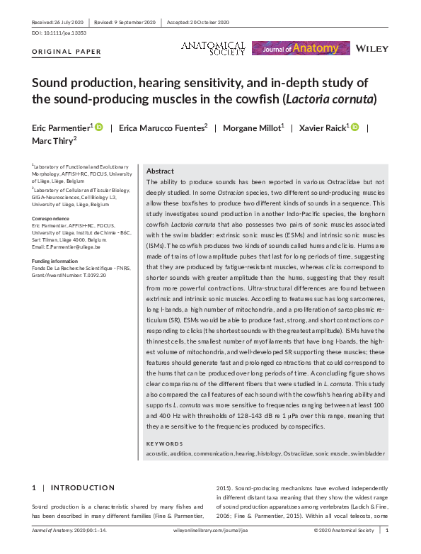 (PDF) Sound production, hearing sensitivity, and in‐depth study of the ...