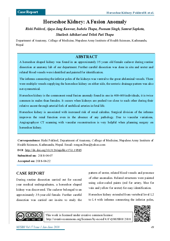 (PDF) Horseshoe Kidney: A Fusion Anomaly