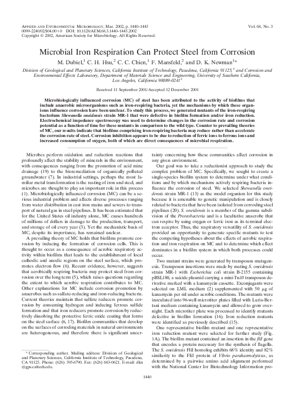 (PDF) Microbial Iron Respiration Can Protect Steel from Corrosion