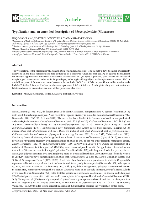 (PDF) Typification and an emended description of Musa splendida (Musaceae)