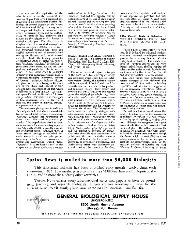 (PDF) Citadel, Market and Altar