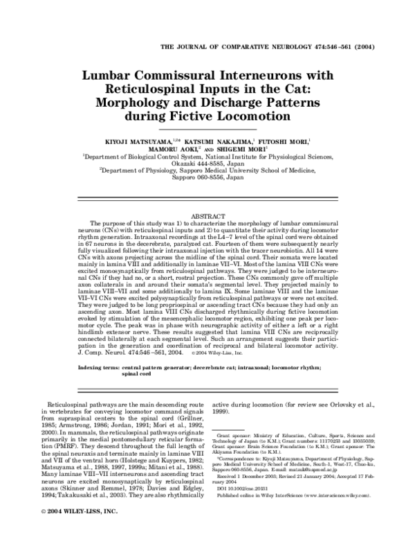 (PDF) Lumbar commissural interneurons with reticulospinal inputs in the ...