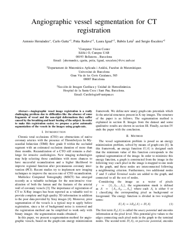 (PDF) Angiographic vessel segmentation for CT registration