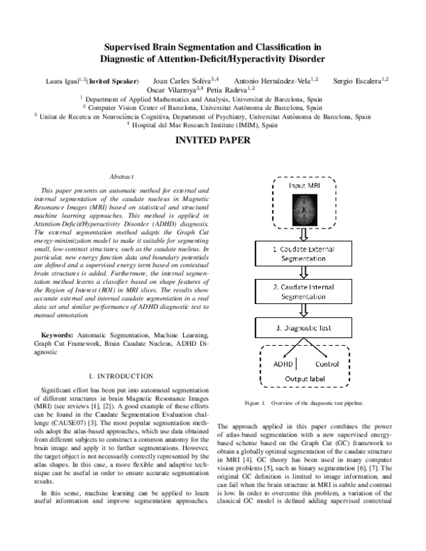 (PDF) Supervised brain segmentation and classification in diagnostic of attention-deficit ...