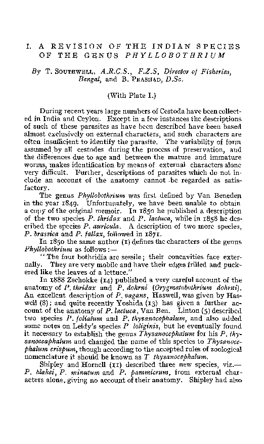 (PDF) A Revision of the Indian Species of the Genus Phyllobothrium