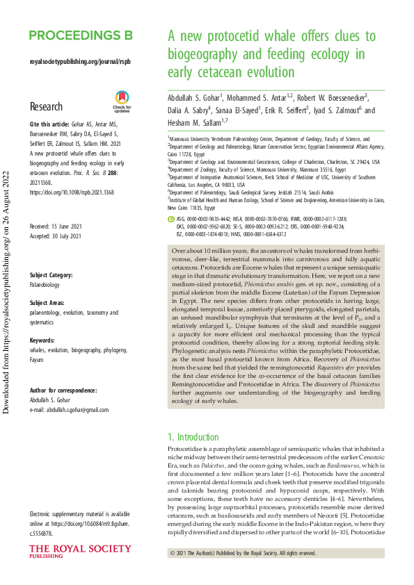 (PDF) A new protocetid whale offers clues to biogeography and feeding ...