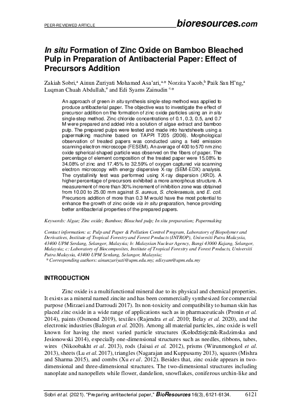 (PDF) In situ formation of zinc oxide on bamboo bleached pulp in ...