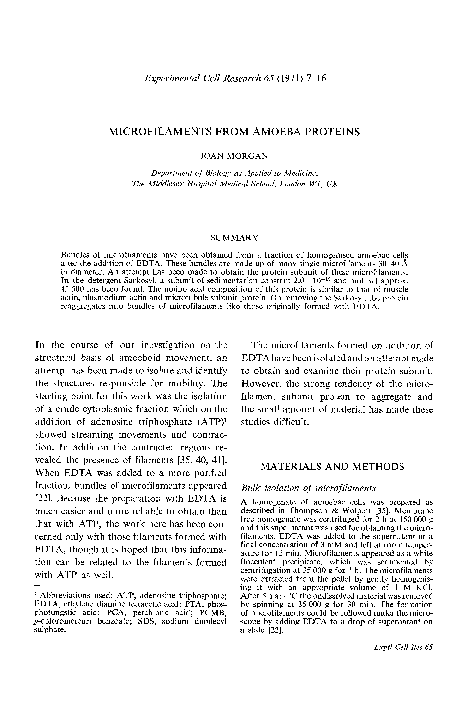 (PDF) Microfilaments from amoeba proteins