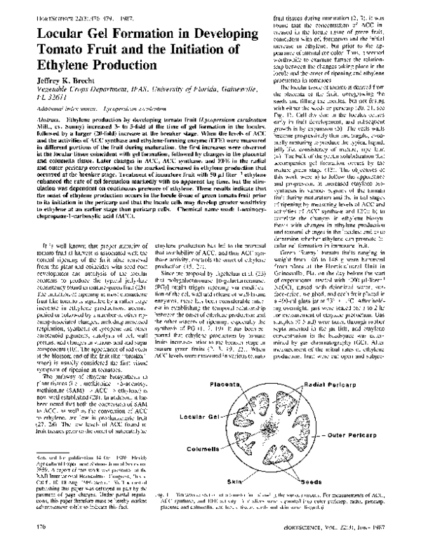 (PDF) Locular Gel Formation in Developing Tomato Fruit and the ...