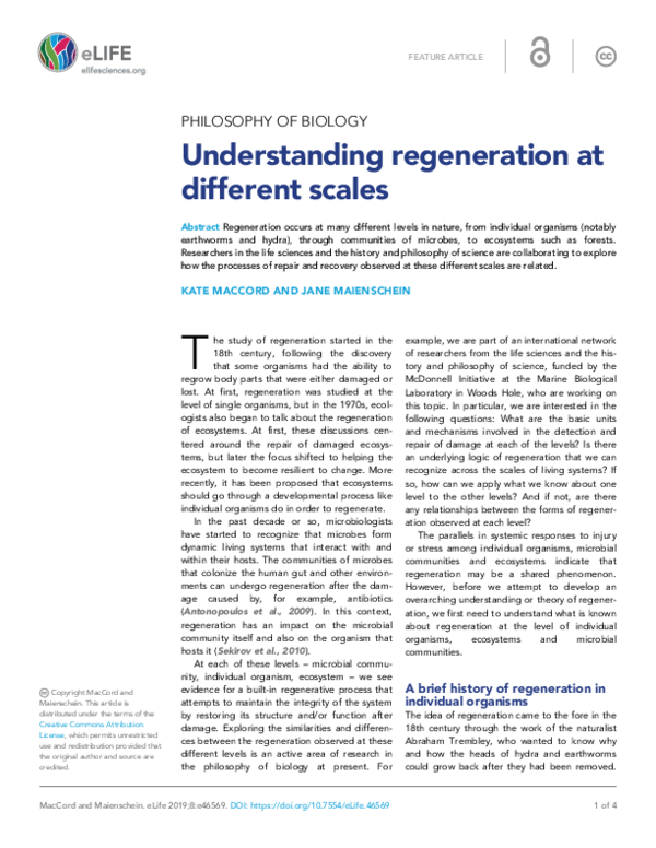 (PDF) Understanding regeneration at different scales