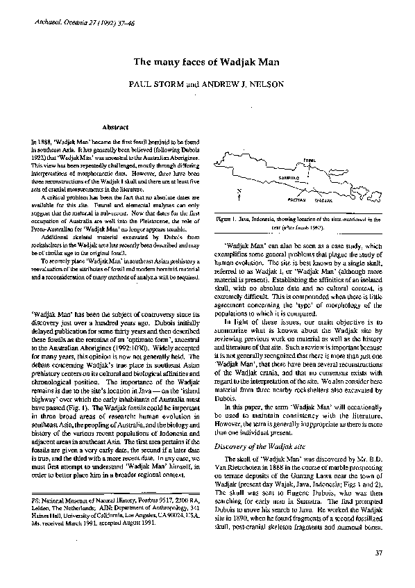 (PDF) The many faces of Wadjak Man