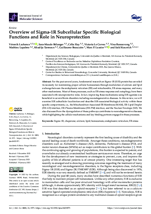 (PDF) Overview of Sigma-1R Subcellular Specific Biological Functions ...