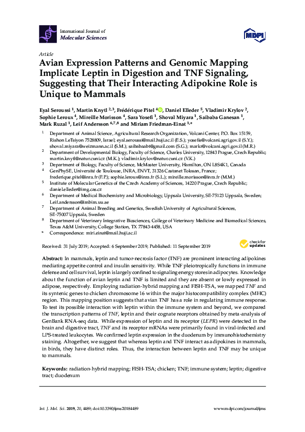 (PDF) Avian Expression Patterns and Genomic Mapping Implicate Leptin in ...