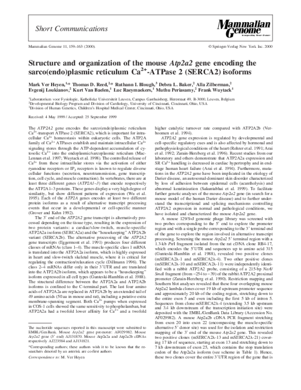 (PDF) Structure and organization of the mouse Atp2a2 gene encoding the ...