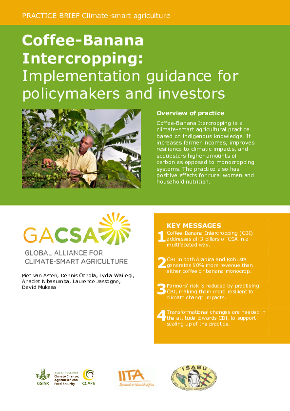 (PDF) Coffee-Banana Intercropping: Implementation guidance for ...