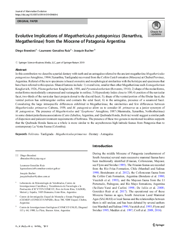(PDF) Evolutive Implications of Megathericulus patagonicus (Xenarthra ...