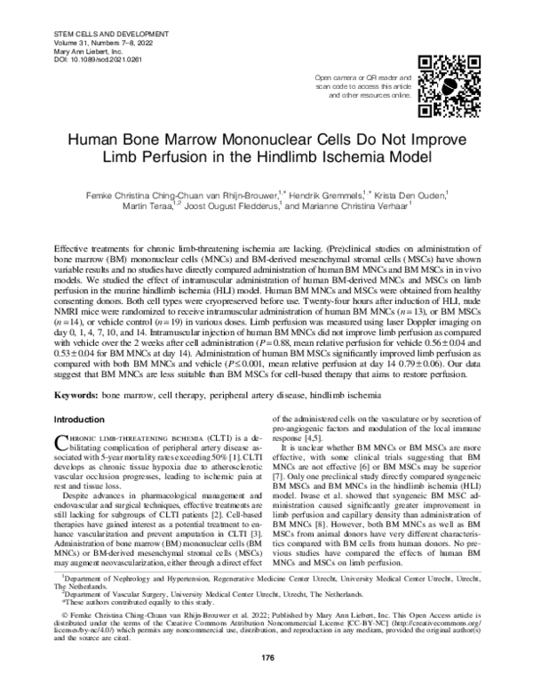 (PDF) Human Bone Marrow Mononuclear Cells Do Not Improve Limb Perfusion ...