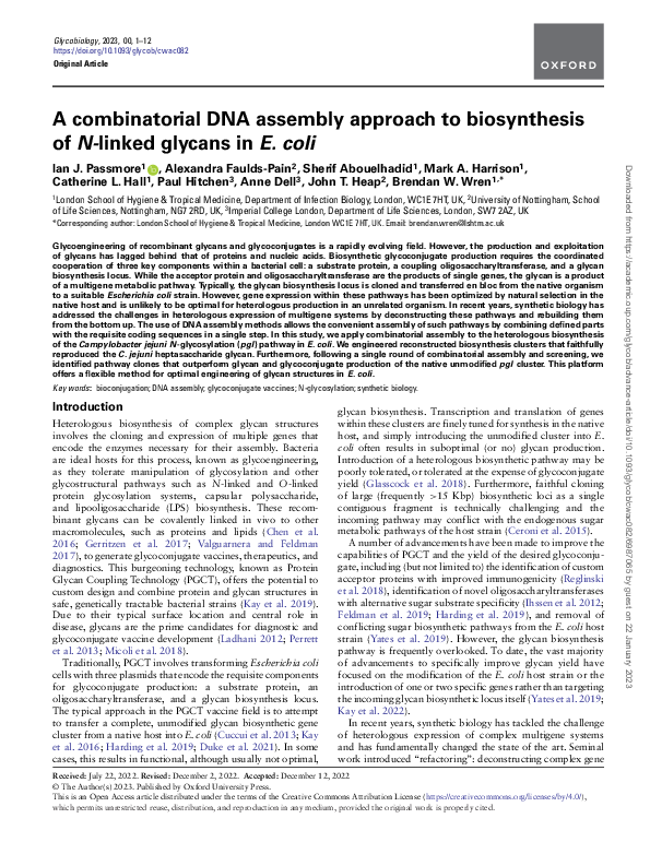 (PDF) A combinatorial DNA assembly approach to biosynthesis of N-linked glycans in E. coli