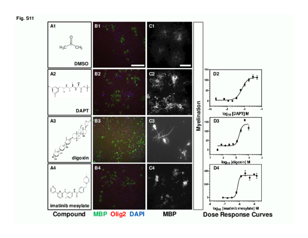 (PDF) MOESM11 of Development of a central nervous system axonal ...