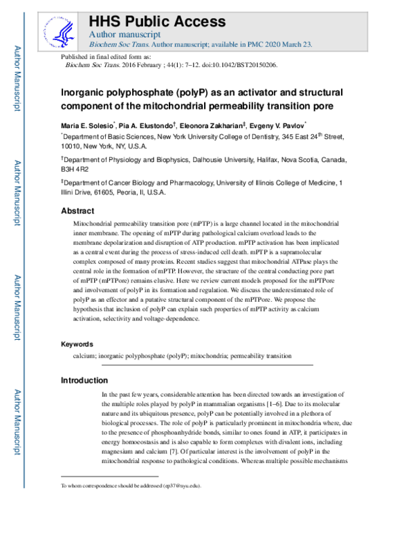 (PDF) Inorganic polyphosphate (polyP) as an activator and structural ...
