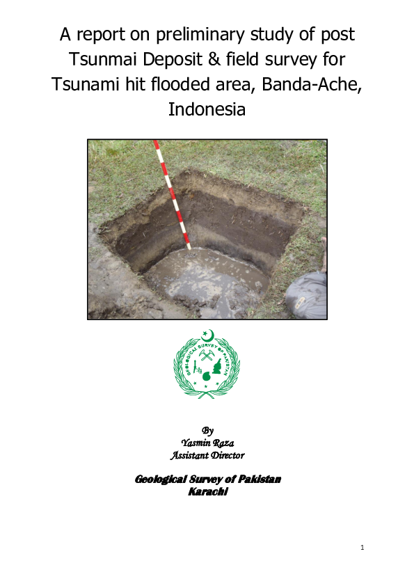 (PDF) A report on preliminary study of post Tsunmai Deposit & field ...
