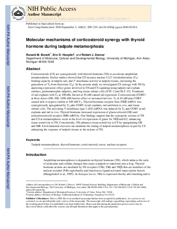 (PDF) Molecular mechanisms of corticosteroid synergy with thyroid ...