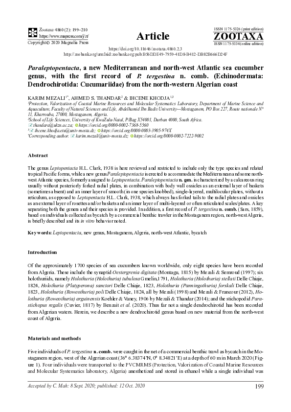 (PDF) Paraleptopentacta, a new Mediterranean and north-west Atlantic ...