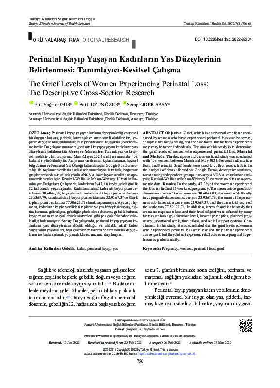 (PDF) The Grief Levels of Women Experiencing Perinatal Loss: The ...