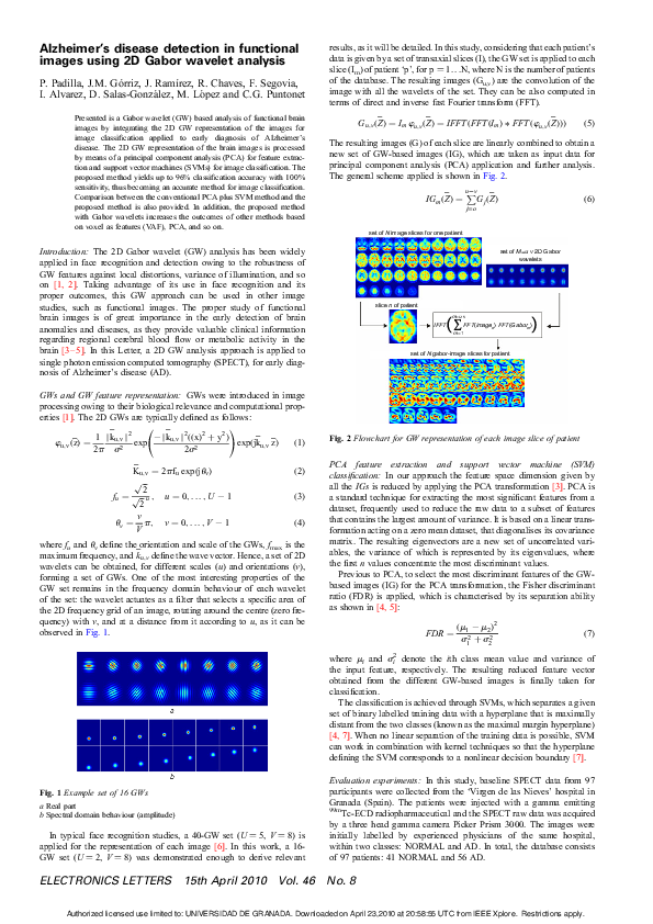 (PDF) Alzheimer's disease detection in functional images using 2D Gabor wavelet analysis