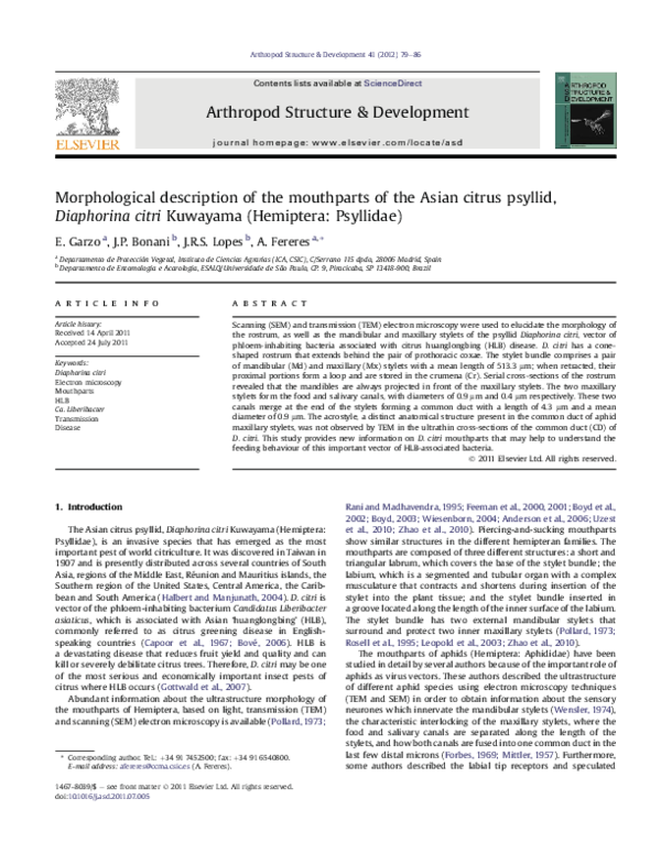 (PDF) Morphological description of the mouthparts of the Asian citrus psyllid, Diaphorina citri ...