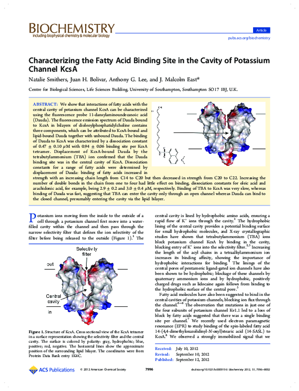 (PDF) Characterizing the Fatty Acid Binding Site in the Cavity of Potassium Channel KcsA