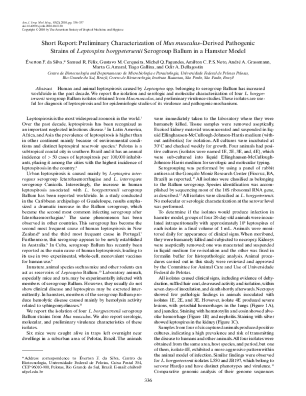(PDF) Preliminary Characterization of Mus musculus-Derived Pathogenic ...