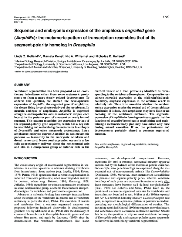 (PDF) Sequence and embryonic expression of the amphioxus engrailed gene ...
