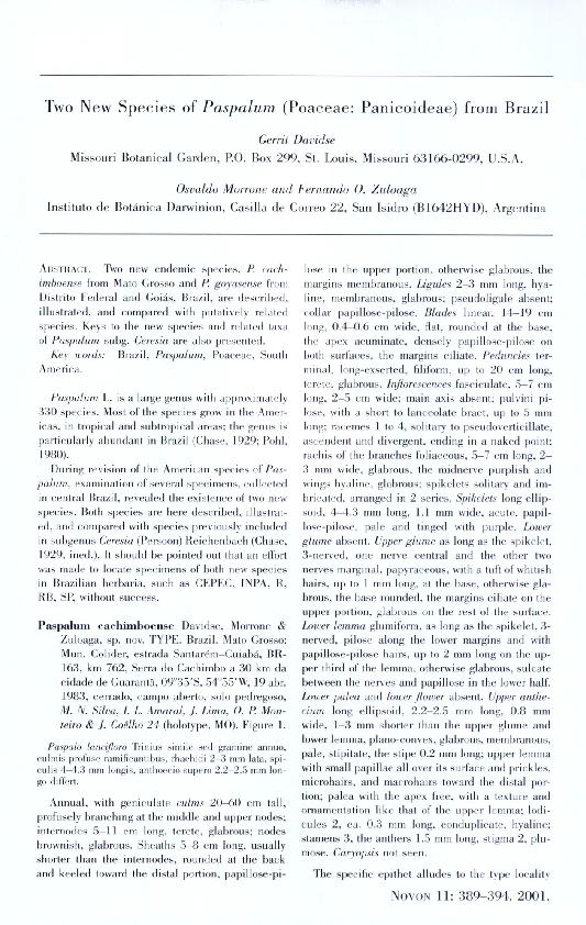 (PDF) Two New Species of Paspalum (Poaceae: Panicoideae) from Brazil