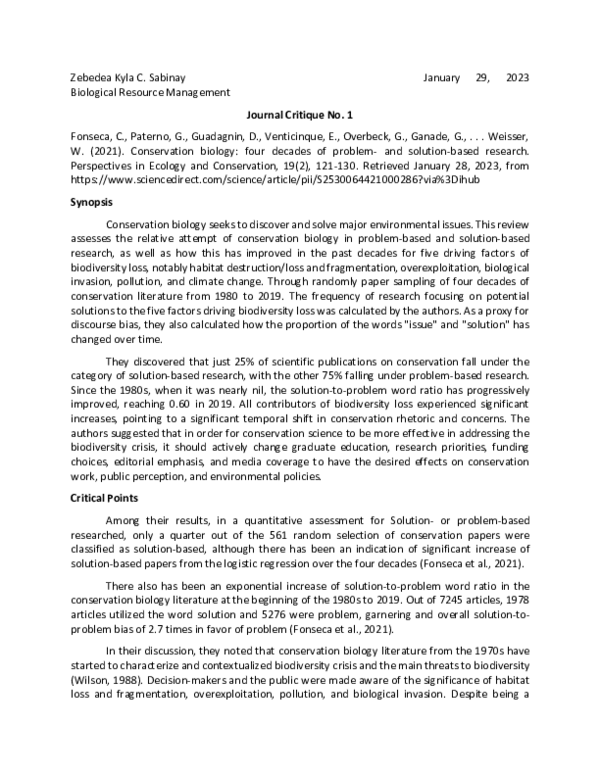 (PDF) SABINAY Critique Paper