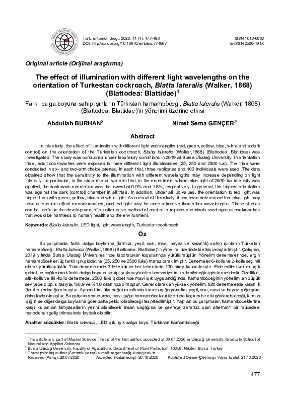 (PDF) The effect of illumination with different light wavelengths on ...