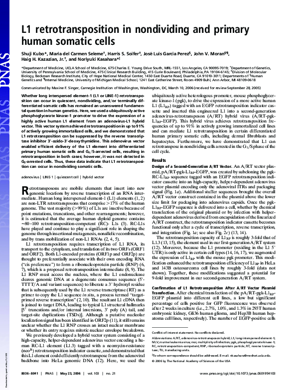 (PDF) L1 retrotransposition in nondividing and primary human somatic cells