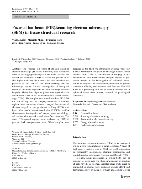 (PDF) Focused ion beam (FIB)/scanning electron microscopy (SEM) in tissue structural research