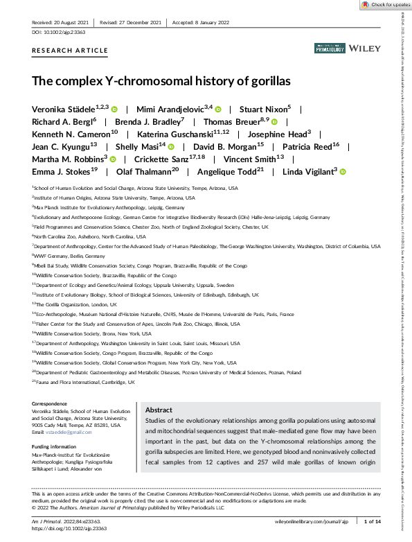 (PDF) The complex Y‐chromosomal history of gorillas