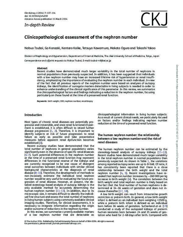 (PDF) Clinicopathological assessment of the nephron number