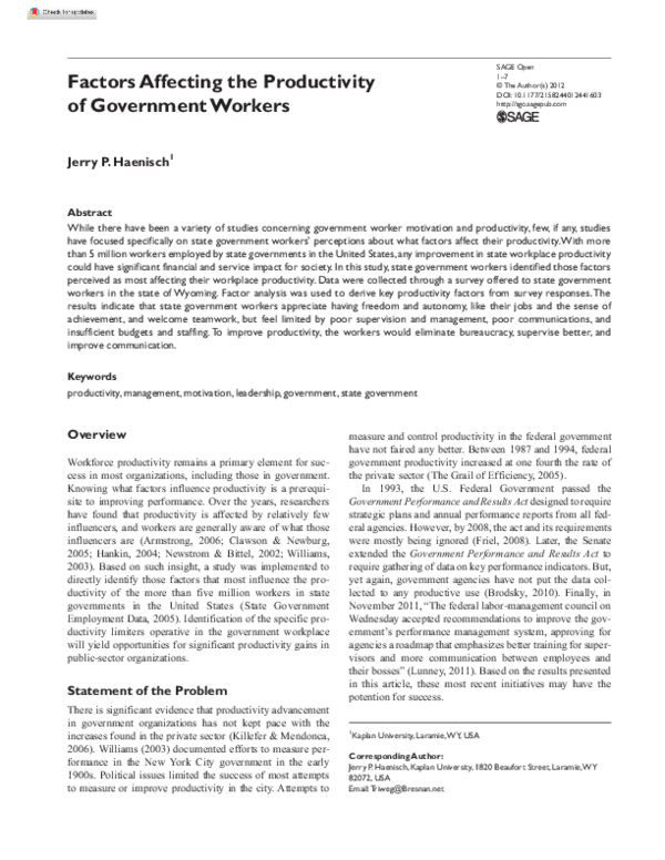 (PDF) Factors Affecting the Productivity of Government Workers