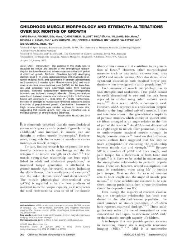 (PDF) Childhood muscle morphology and strength: Alterations over six months of growth