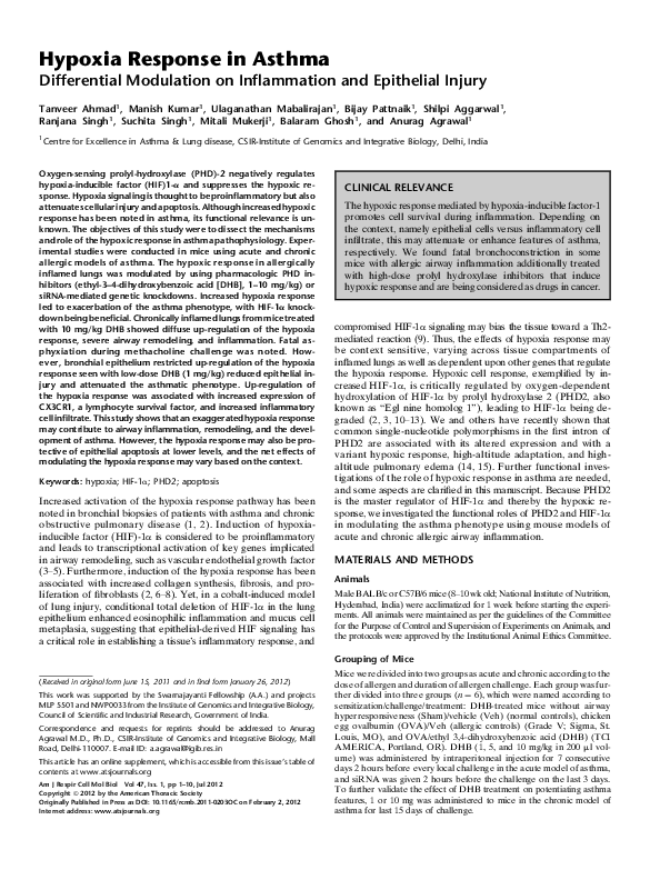 (PDF) Hypoxia Response in Asthma