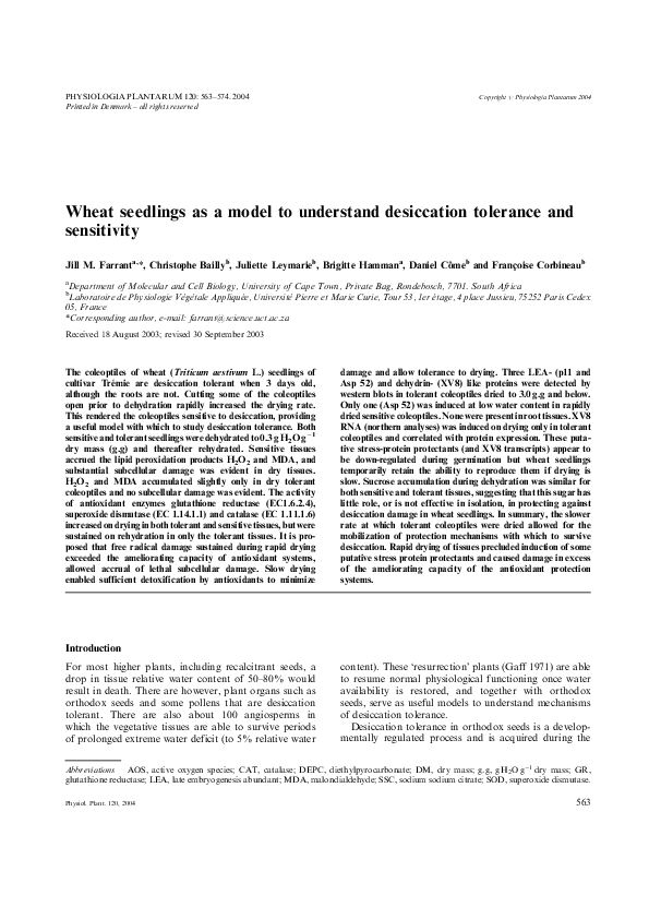 (PDF) Wheat seedlings as a model to understand desiccation tolerance ...