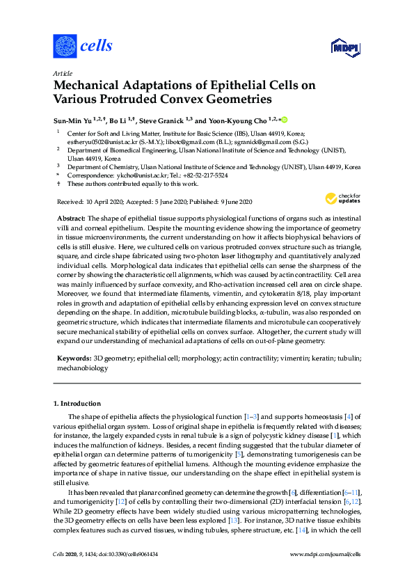 (PDF) Mechanical Adaptations of Epithelial Cells on Various Protruded ...