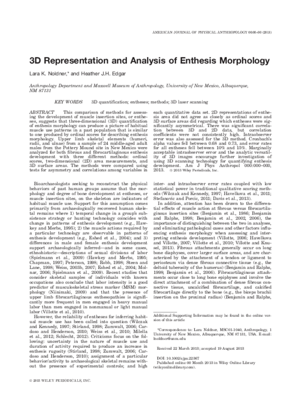 (PDF) 3D representation and analysis of enthesis morphology