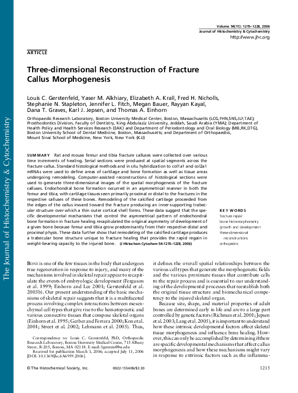 (PDF) Three-dimensional Reconstruction of Fracture Callus Morphogenesis