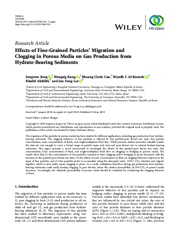 (PDF) Effects of Fine-Grained Particles’ Migration and Clogging in Porous Media on Gas ...